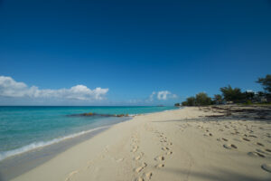 Bimini Bahamas Cruise Port: Insider Tips & Highlights